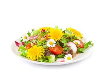 Blumen & Blüten Rezepte - ichkoche.at