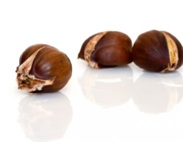 Die besten Maroni Rezepte - ichkoche.at