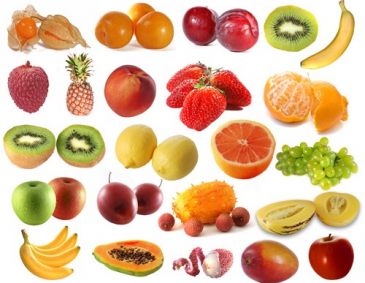 Die besten Obsttorte Rezepte - ichkoche.at