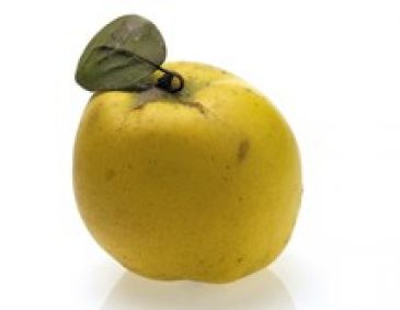 Die besten Quitten Rezepte - ichkoche.at