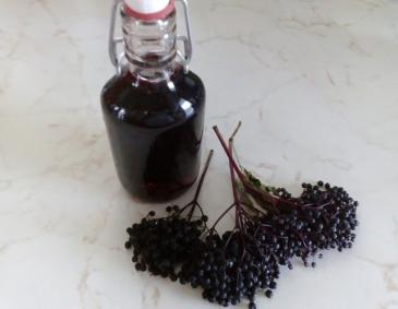 Die besten Holunder Rezepte - ichkoche.at