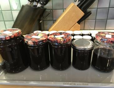 Die besten Ribisel Rezepte - ichkoche.at