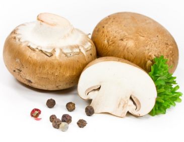 Die besten Champignon Rezepte - ichkoche.at