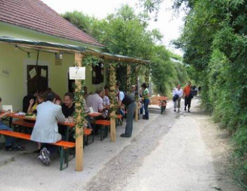 Weinland Österreich - Niederösterreich - Wagram - ichkoche