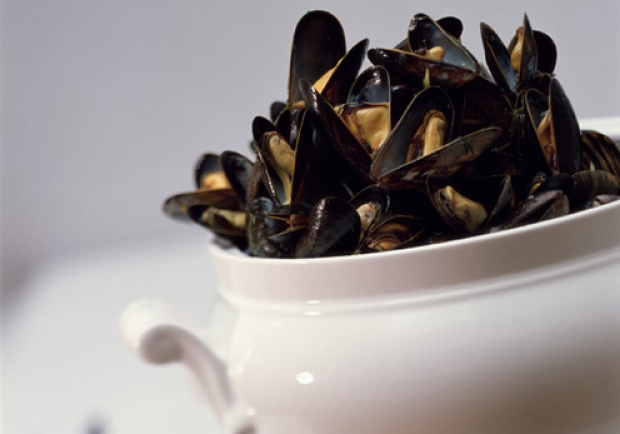 Bouchot-Muscheln in Rieslingsud Rezept - ichkoche