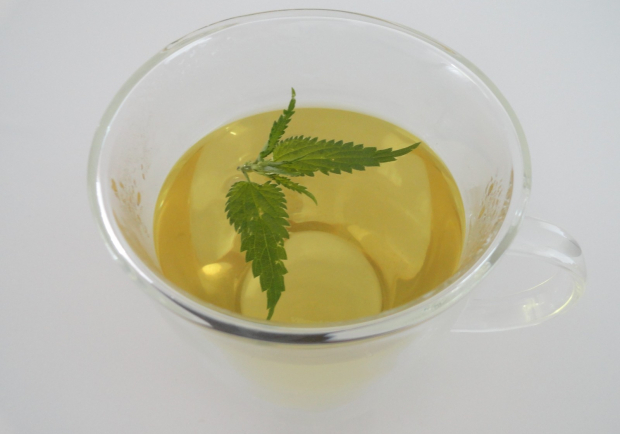 Petersilien-Brennesseltee Rezept - ichkoche.at