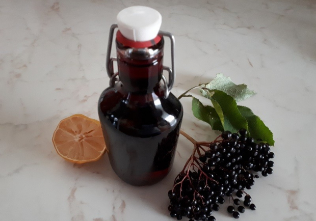 Holundersirup Rezept - ichkoche.at